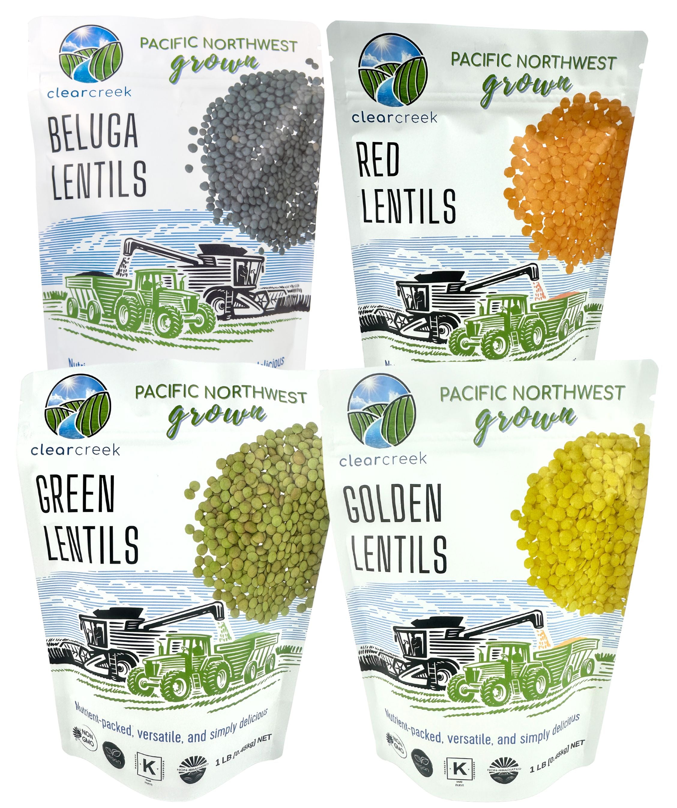 Lentil Starter Bundle | 4 LB | Yellow, Red, Black, Green – Palouse Brand