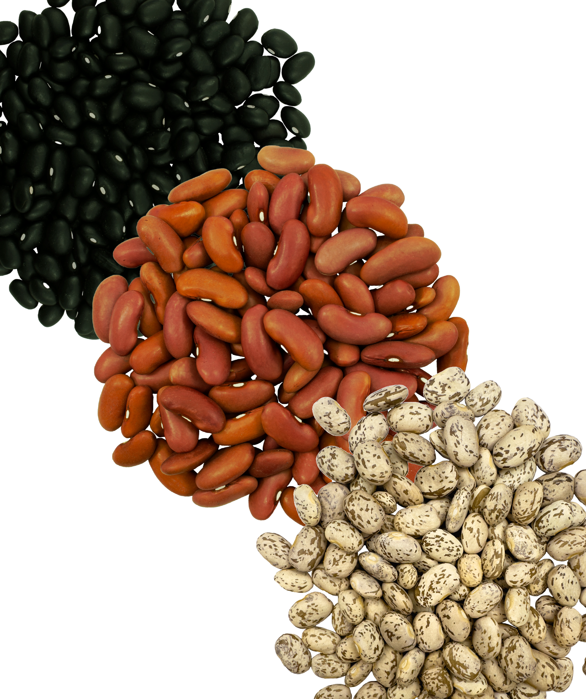 Bean Pack: Black, Pinto & Kidney Beans Bundle – Palouse Brand
