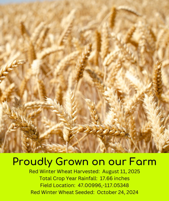 Certified Glyphosate Residue Free | Wheat Bundle | 100 LBS | 25 LBS ...